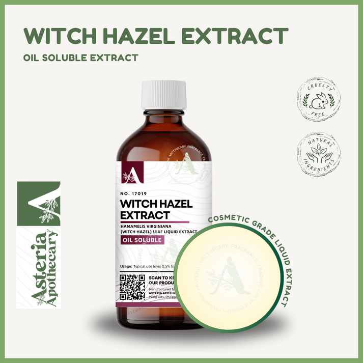 Witch Hazel Oil Soluble Extract – Asteria Apothecary