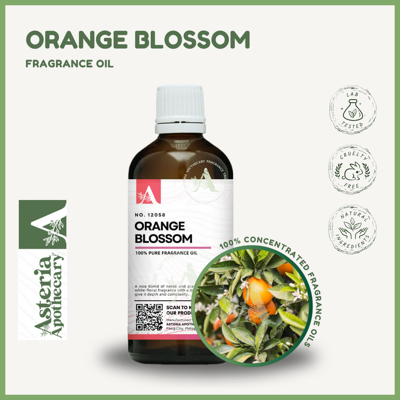 Orange Blossom Fragrance Oil – Asteria Apothecary
